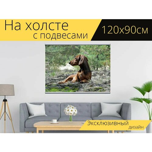 Картина на холсте "Собака, такса, коричневый" с подвесами 120х90 см. для интерьера