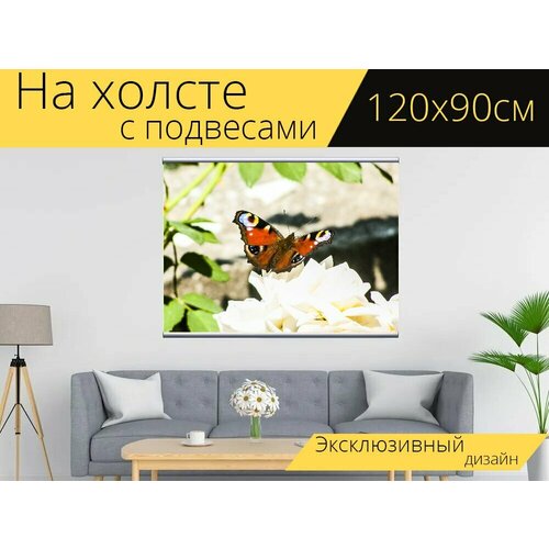 Картина на холсте "Бабочка, насекомое" с подвесами 120х90 см. для интерьера