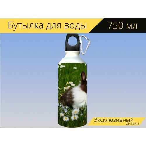 Бутылка фляга для воды "Пасхальный, кролики, млекопитающее" 750 мл. с карабином и принтом