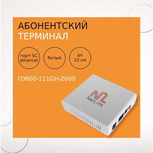 Абонентский терминал FD600-111GH-Z600