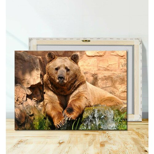 Картина для интерьера Бурый медведь национальный символ России, символ РФ (12) 20х30