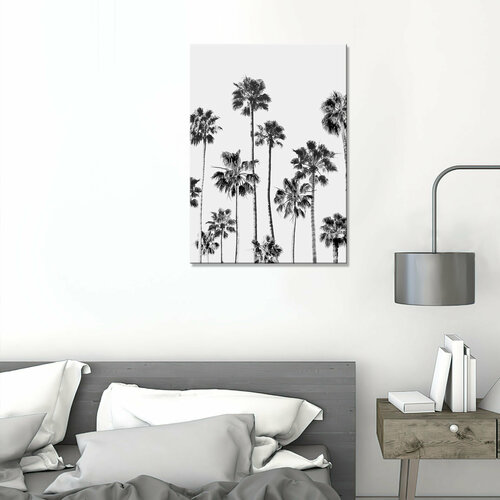 Интерьерная картина на холсте - Чёрно-белые пальмы 40х60