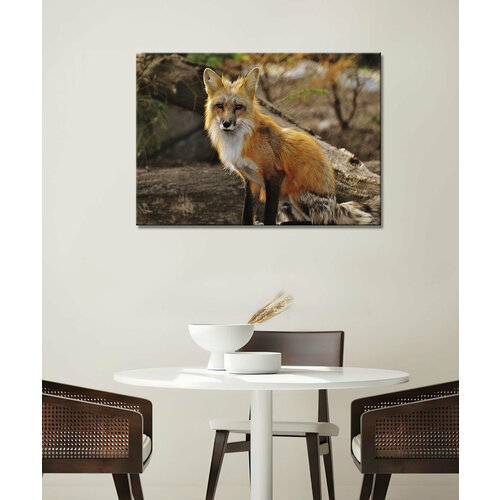 Картина - Лиса, лис, лисы, лисичка, лисенок, лисица, рыжая лиса, лиса в лесу (32) 60х80