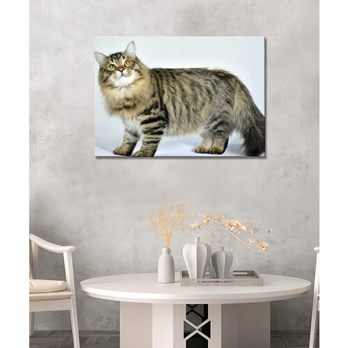 Картина - кошка, сибирская кошка, домашняя кошка, ласковая кошка, полудлинношёрстная кошка, кот (101) 60х80