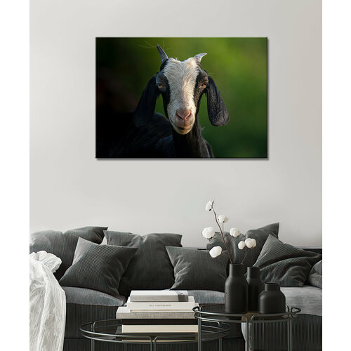 Картина - Коза, пятнистая коза, козел, пятнистый козел (13) 40х60
