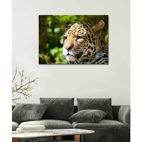 Картина/Ягур/Ягуар в джунглях/Ягуар на дереве/Черный ягуар/ - Ягуар (56) 20х30