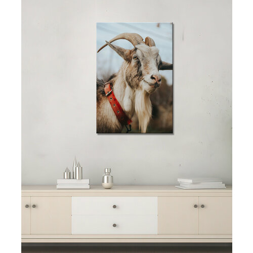 Картина - Коза, пятнистая коза, козел, пятнистый козел (7) 60х80