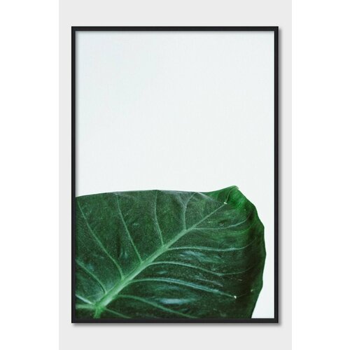 Постер для интерьера Postermarkt, 30х40 см в черной рамке, декор на стену Растение #79