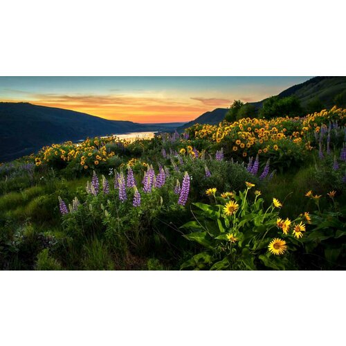 Картина на холсте 60x110 LinxOne "Цветы долина пейзаж горы" интерьерная для дома / на стену / на кухню / с подрамником