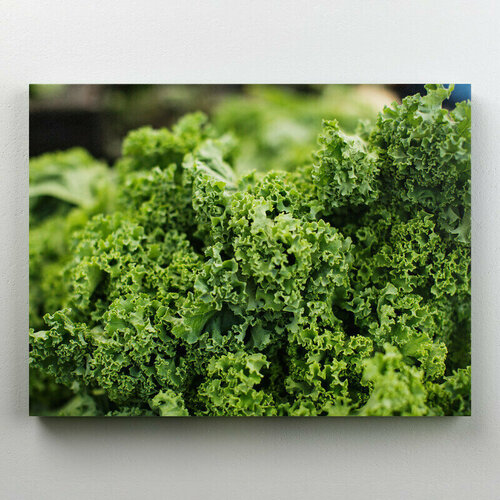 Интерьерная картина на холсте "Зеленый свежий салат" для кухни, кафе и ресторанов, размер 40x30 см