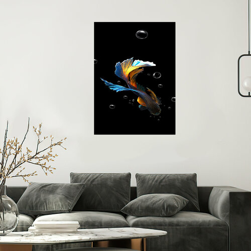 Интерьерная картина на холсте - Цветная рыбка плавающая на черном фоне 30х40