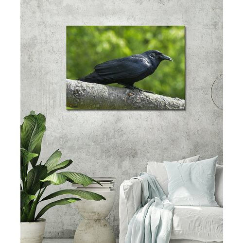Картина -Ворон, черный ворон, ворон на дереве (8) 60х80