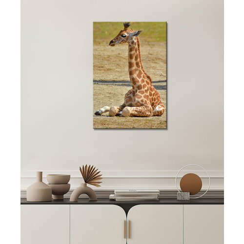 Картина - морда жирафа, жираф (7) 20х30