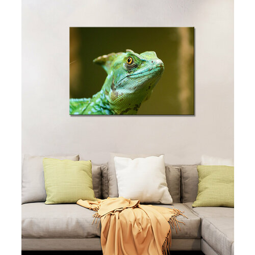 Картина - Игуана, зеленая игуана, ящерица (12) 50х70