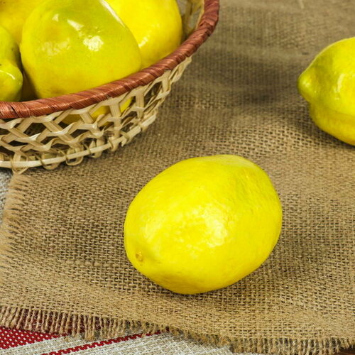Муляж "Лимон" 10 см, жёлтый, 10 шт.