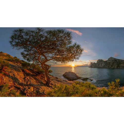 Картина на холсте 60x110 Альянс Лес "Море сосна солнце скалы Крым" на подрамнике / интерьер/ декор