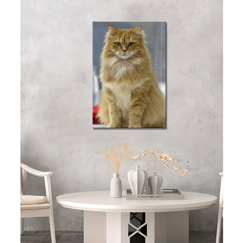 Картина - кошка, сибирская кошка, домашняя кошка, ласковая кошка, полудлинношёрстная кошка, кот (114) 30х40
