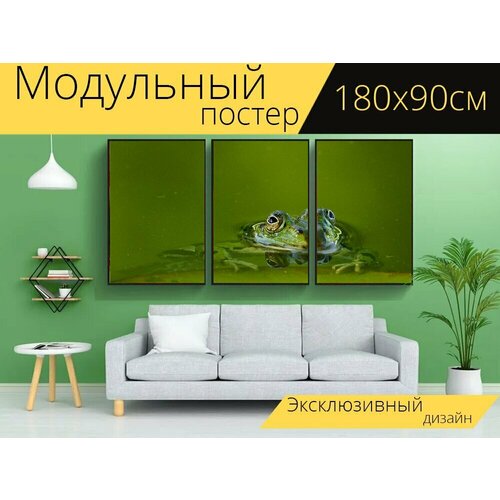 Модульный постер "Лягушка, пруд лягушка, вода" 180 x 90 см. для интерьера