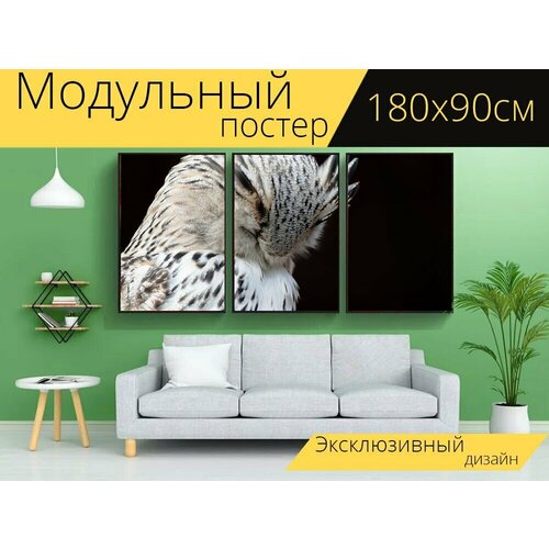 Модульный постер "Сова, снежная сова, птица" 180 x 90 см. для интерьера