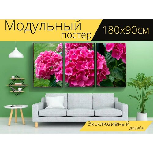 Модульный постер "Гортензия, цветы, лепестки" 180 x 90 см. для интерьера