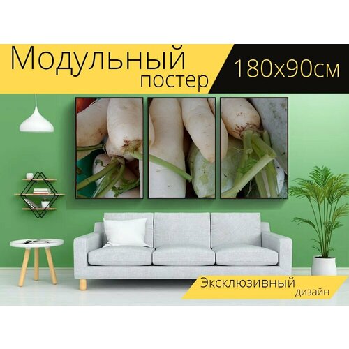 Модульный постер "Редис, овощи, свежий" 180 x 90 см. для интерьера