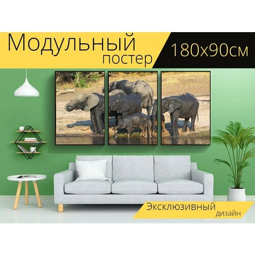 Модульный постер "Слоны, ботсвана, чобе" 180 x 90 см. для интерьера
