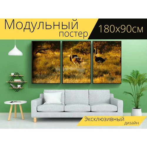 Модульный постер "Страус, дикий, птица" 180 x 90 см. для интерьера