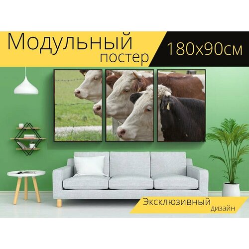 Модульный постер "Женский крупного рогатого скота, корова, домашний скот" 180 x 90 см. для интерьера
