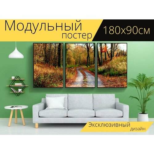 Модульный постер "Осень, лес, путь" 180 x 90 см. для интерьера