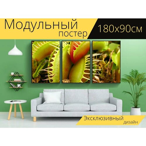 Модульный постер "Плотоядное растение, нахлыст, завод" 180 x 90 см. для интерьера