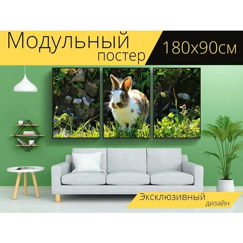 Модульный постер "Кролик, кролики, пасхальный" 180 x 90 см. для интерьера