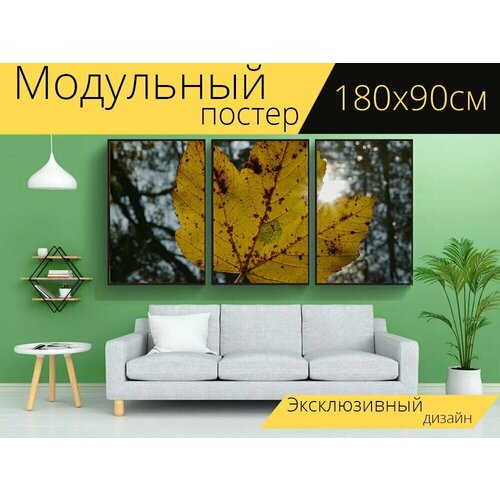 Модульный постер "Падение, осенние листья, осенний" 180 x 90 см. для интерьера