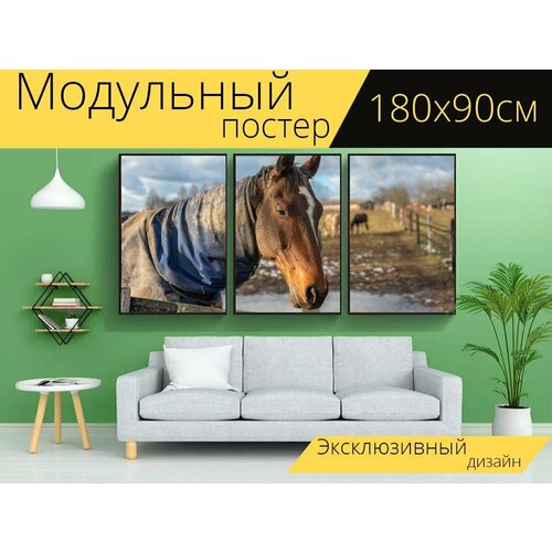 Модульный постер "Загон, лошадиная голова, лошадь" 180 x 90 см. для интерьера