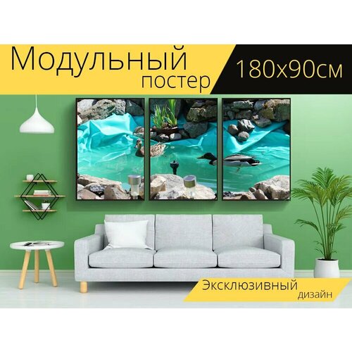 Модульный постер "Утки, пруд, камни" 180 x 90 см. для интерьера