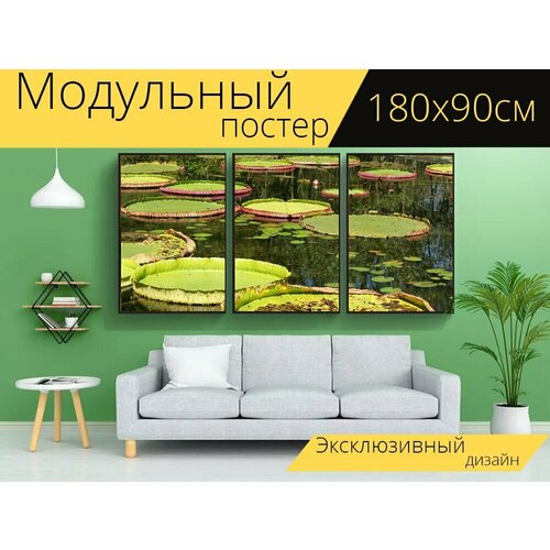 Модульный постер "Лилии, пруд, водный" 180 x 90 см. для интерьера