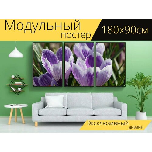 Модульный постер "Крокусы разноцветные, белым цветом сирень, цветы весенние" 180 x 90 см. для интерьера