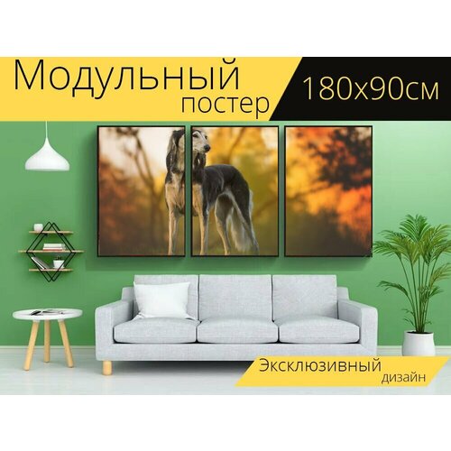 Модульный постер "Природа, собака, борзая" 180 x 90 см. для интерьера