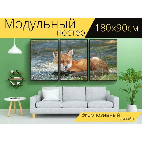 Модульный постер "Лиса, дикое животное, животное" 180 x 90 см. для интерьера