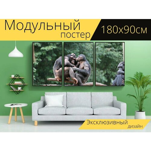 Модульный постер "Обезьяны, шимпанзе, дикий" 180 x 90 см. для интерьера
