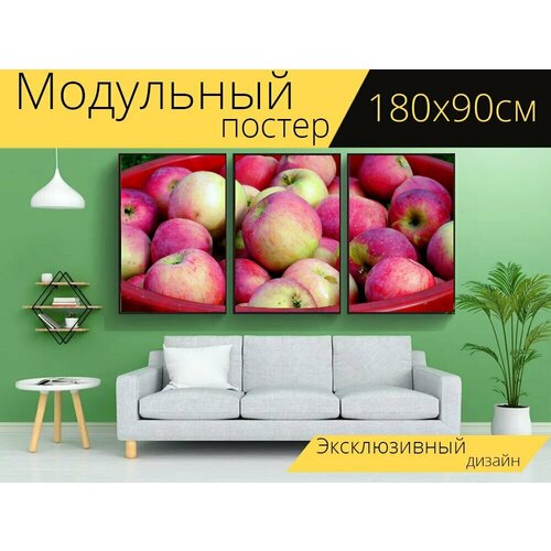 Модульный постер "Яблоки, фрукты, корзина" 180 x 90 см. для интерьера