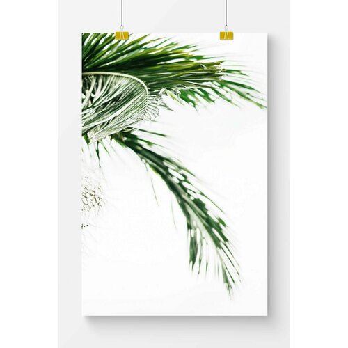 Постер для интерьера Postermarkt, 50х70 см в тубусе, постер Растение #10