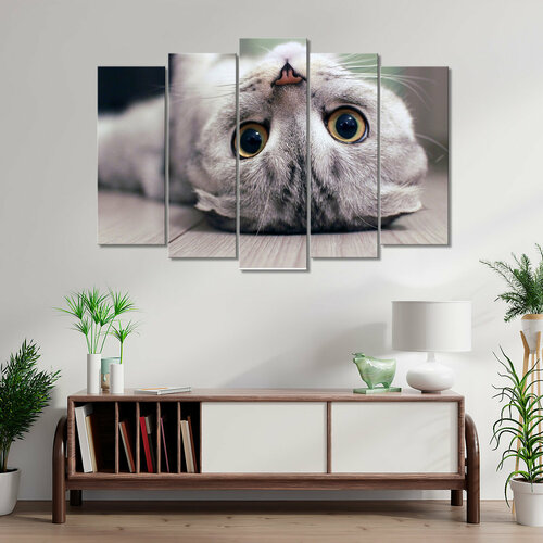 Модульная картина/Модульная картина на холсте/Модульная картина в подарок/ Шотландская вислоухая кошка/Scottish Fold Cat 125х85