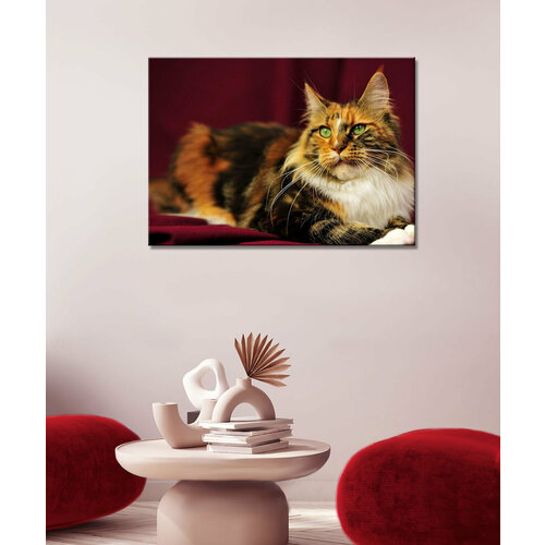 Картина - кошка, мейн-кун, домашняя кошка, ласковая кошка, кот (290) 50х70