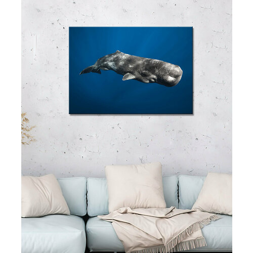 Картина - кит, синий кит, кит в океане, огромный кит, кит в воде (28) 60х80
