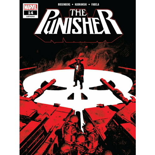 Плакат, постер на холсте Punisher/Каратель/комиксы/мультфильмы. Размер 30 х 42 см