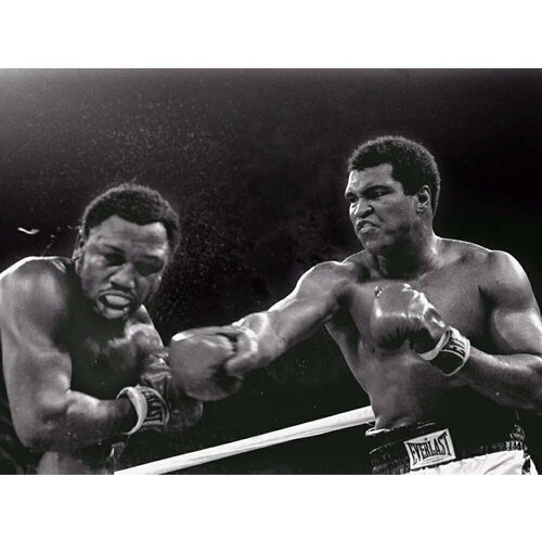 Плакат, постер на холсте Muhammad Ali/Мухаммед Али/спорт. Размер 42 х 60 см