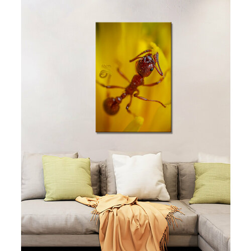 Картина -Муравей, муравей макро, муравей близко (54) 60х80