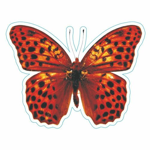 Наклейка "Бабочка", малая, вид 1, 120х100мм, Арт рэйсинг