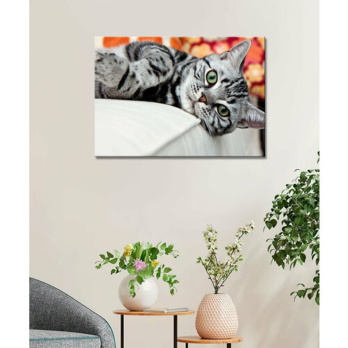 Картина - кошка, американская короткошёрстная кошка, домашняя кошка, ласковая кошка, кот (207) 30х40