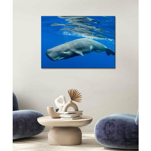 Картина - кит, синий кит, кашалот, огромный кит, кит в воде (15) 60х80